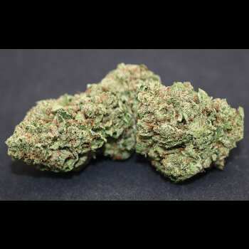 Indica