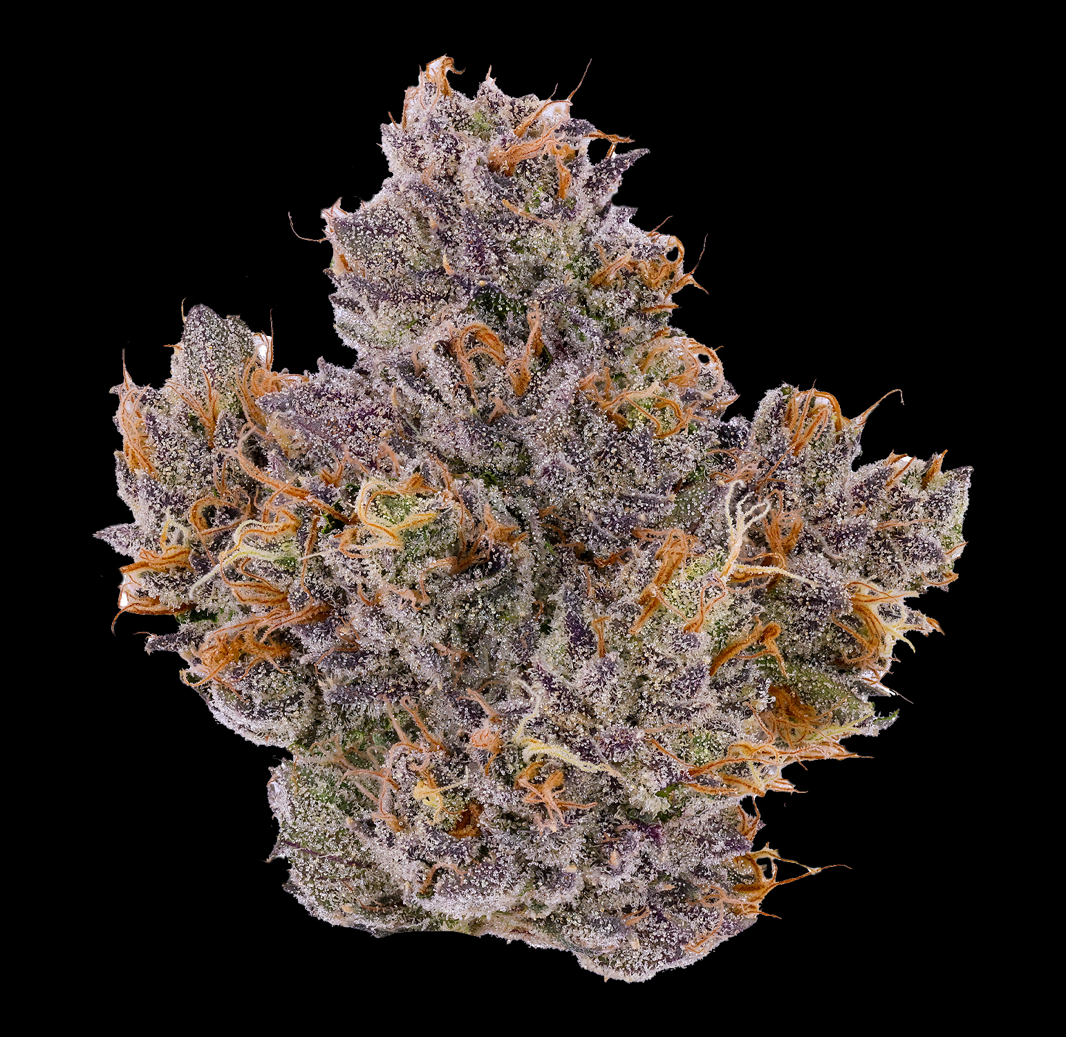 Fig Farms - Rapper Weed (3.5g)